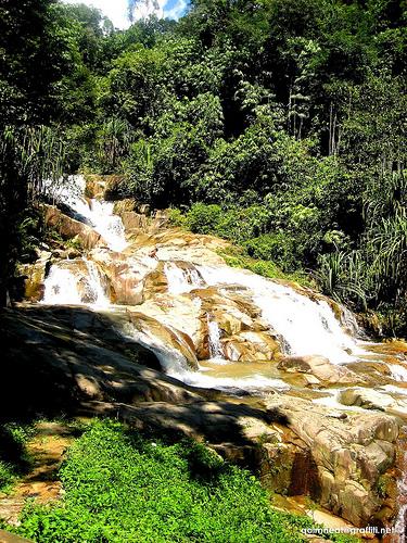 Sempoi Baq Hang: Lata Lembu Emas