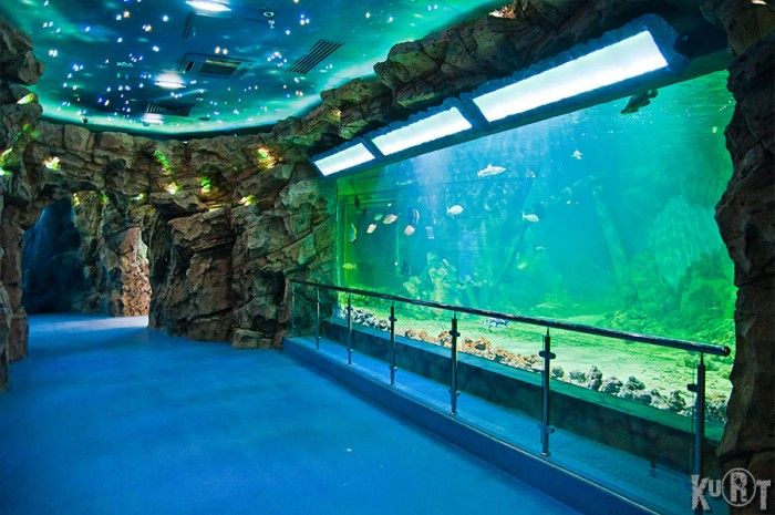 News Dumper: In Moscow, opened its first aquarium