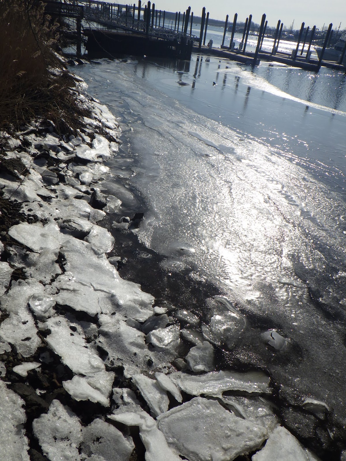 Frogma: Marine Park Bridge OOPS I mean Gerritsen Creek Paddle Feb. 3 ...