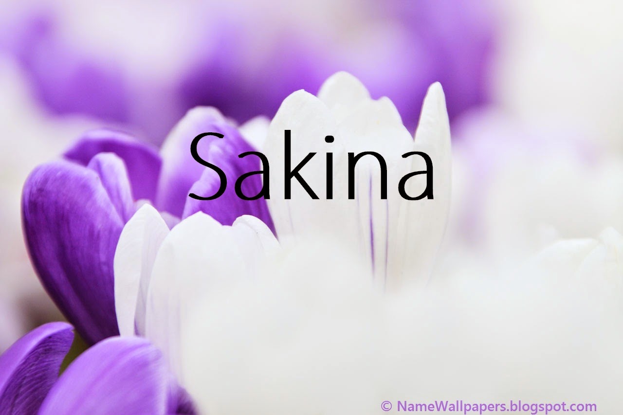 Sakina Name Wallpapers Sakina ~ Name Wallpaper Urdu Name Meaning Name ...