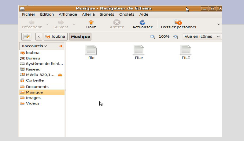 Système de fichiers sous linux ~ Linux Système de fichiers sous linux ~ Linux
