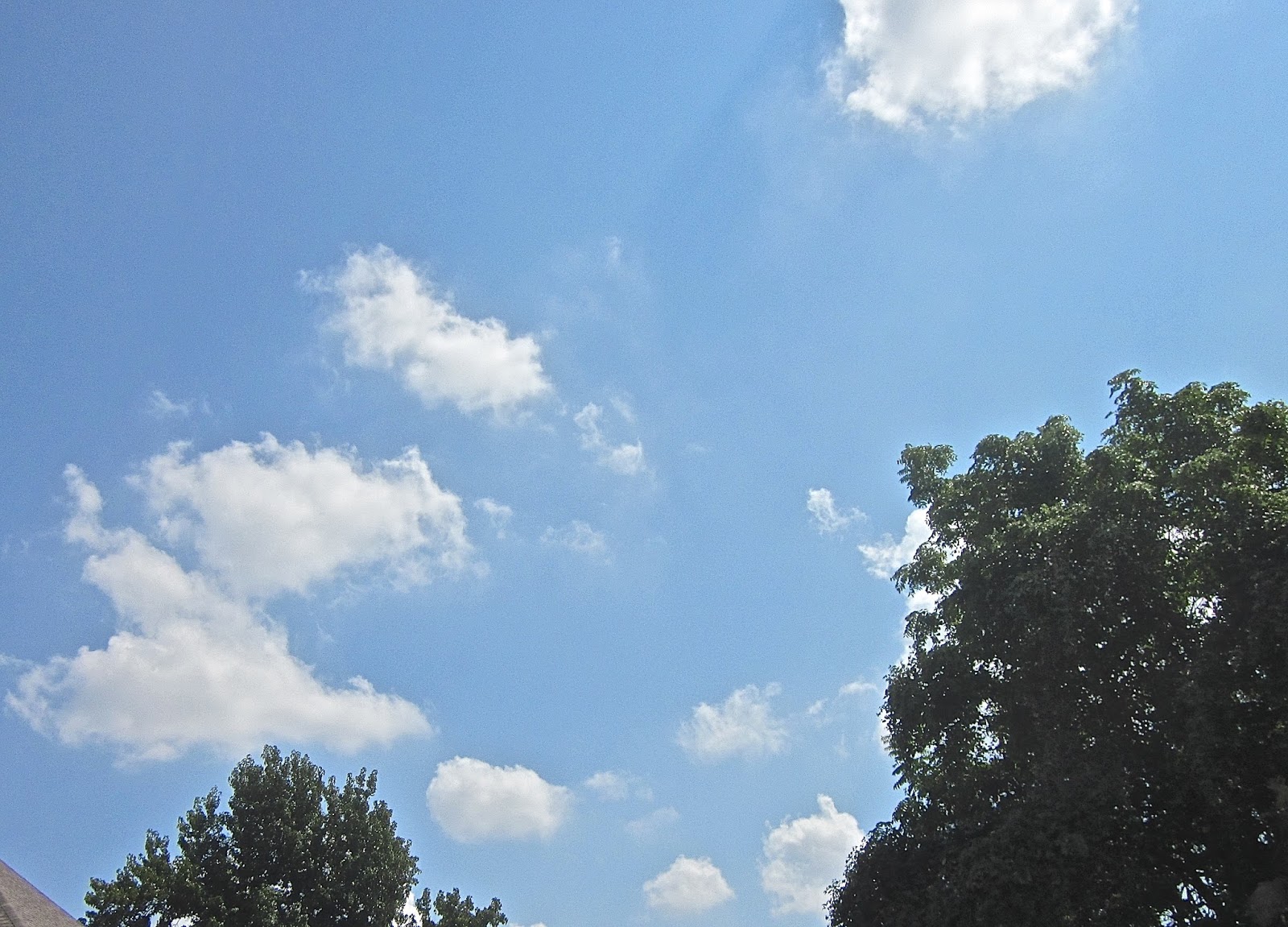 jkwgalleries: Clouds, Trees and Blue Sky