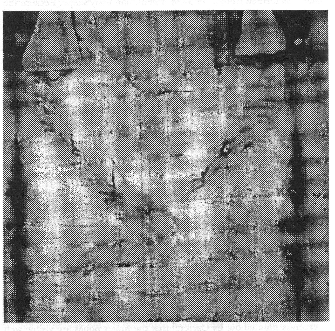 The Shroud of Turin: John P. Jackson, "An Unconventional Hypothesis to ...