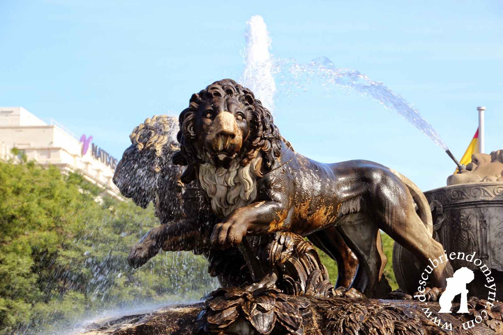 Descubriendo Mayrit - Guia de turismo en Madrid: Los leones de Cibeles