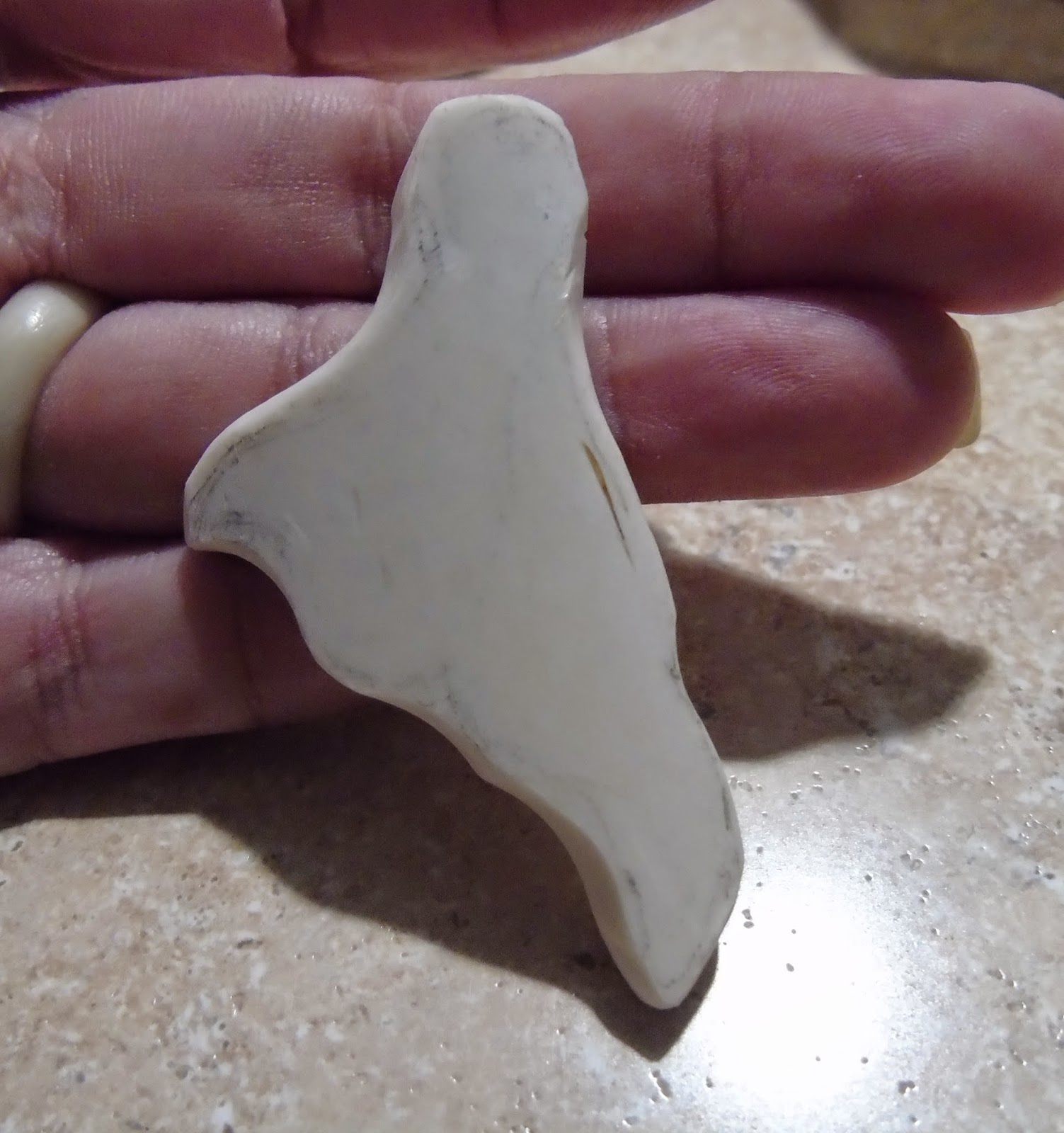 My Backyard: Projects: Cement and Bone