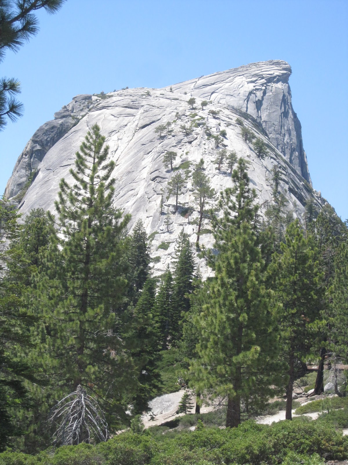 Half Dome Challenge