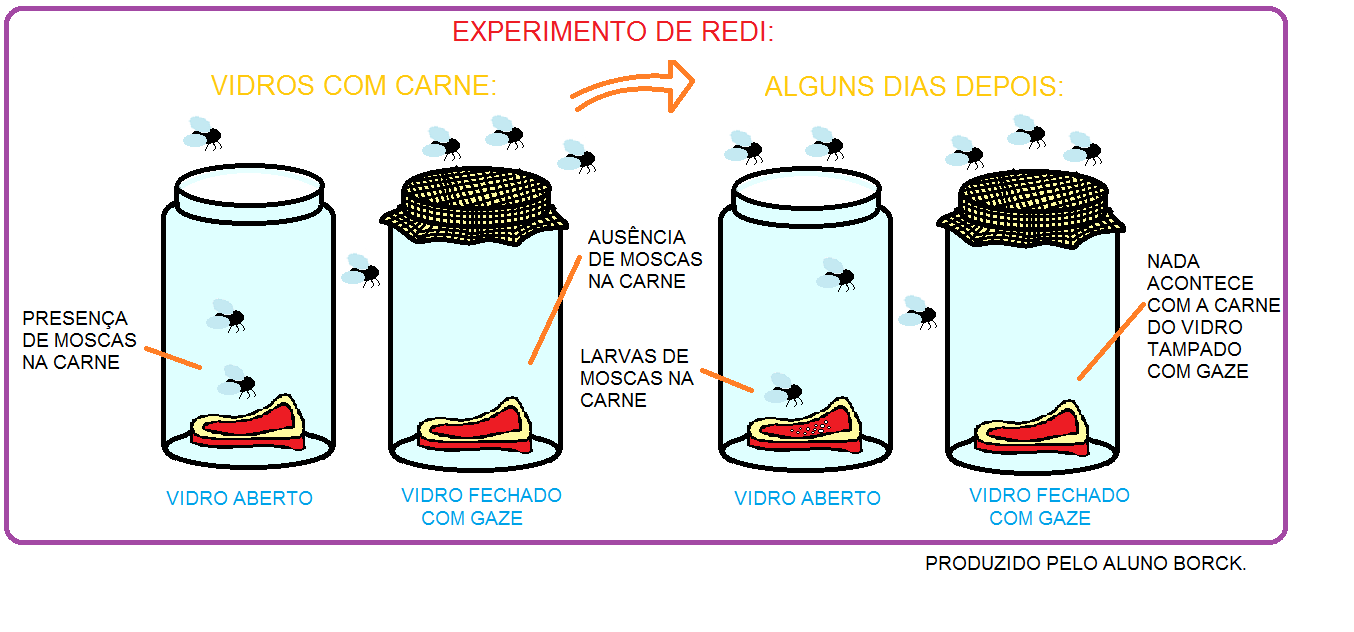 TEORÍA DE BIOGENESIS: TEORÍA DE BIOGENESIS