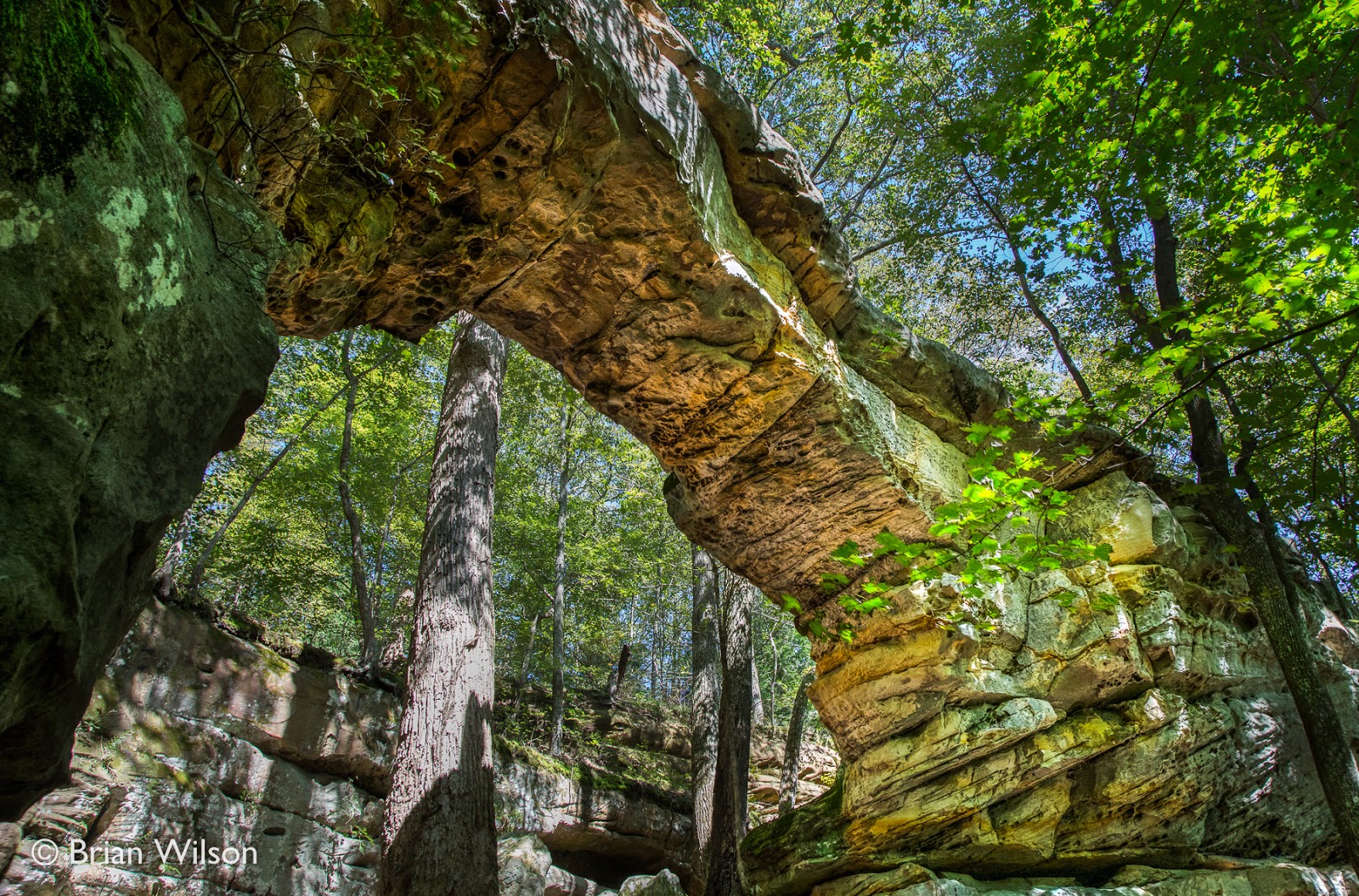 Southern Wanderings: Sewanee Natural Bridge and Grundy Lakes State Park