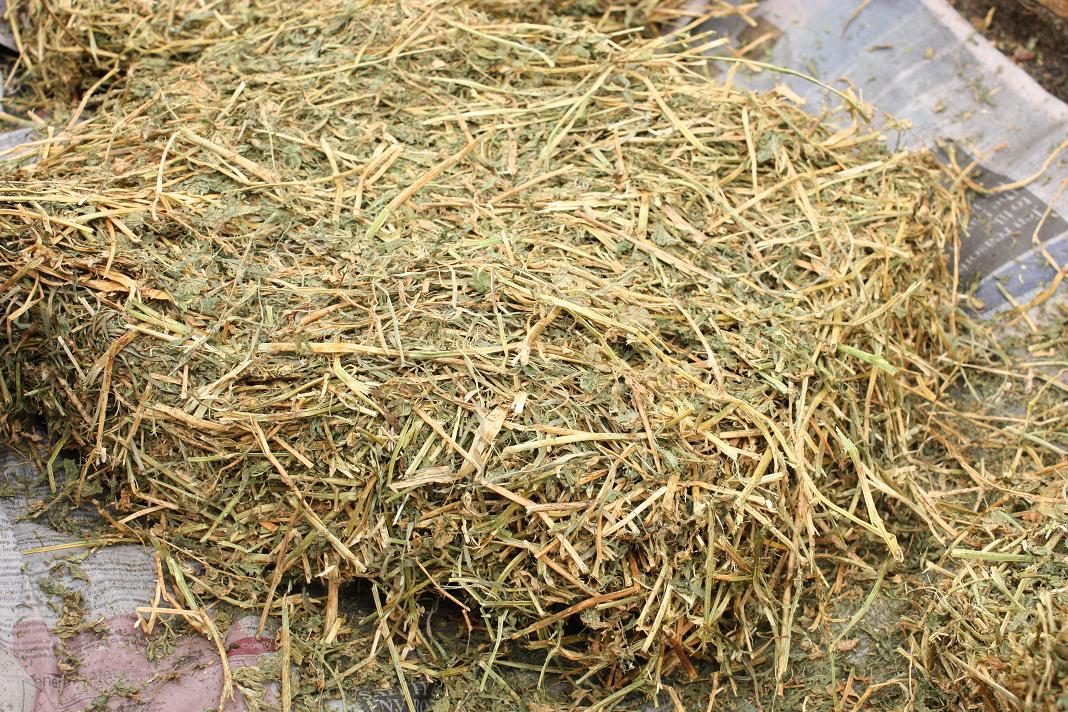 Bok Bok B'Gerk: Growing an Organic Vegetable Garden (Part 3 - Preparing ...