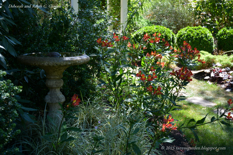 MySecretGarden: Deborah and Ralph's Garden on Bainbridge Island