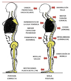 FISIOTERAPIA - HUANUCO: FISIOTERAPIA GRUPAL 1ER MODULO - CLASE ...