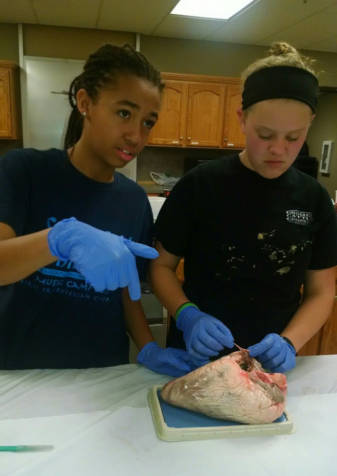 Golden Grasses: Homeschool Heart Dissection - Challenge A Fun!