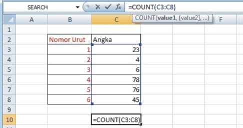 Penerapan Fungsi Count dan Sum Pada Excel - Panduan Ms Excel