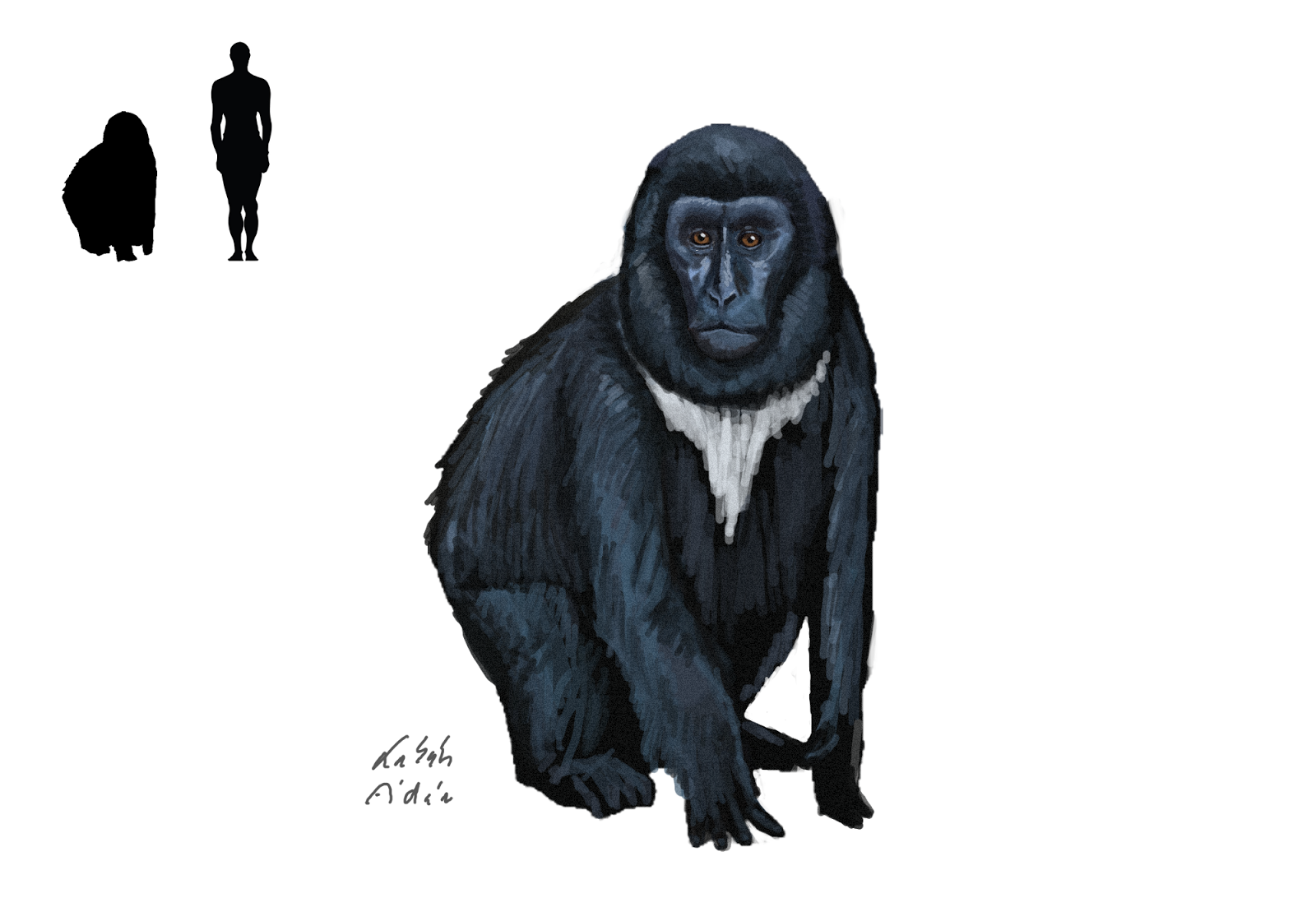 Kriptozoológia - Az állatvilág rejtélyes oldala: Hibagon - A japán ...