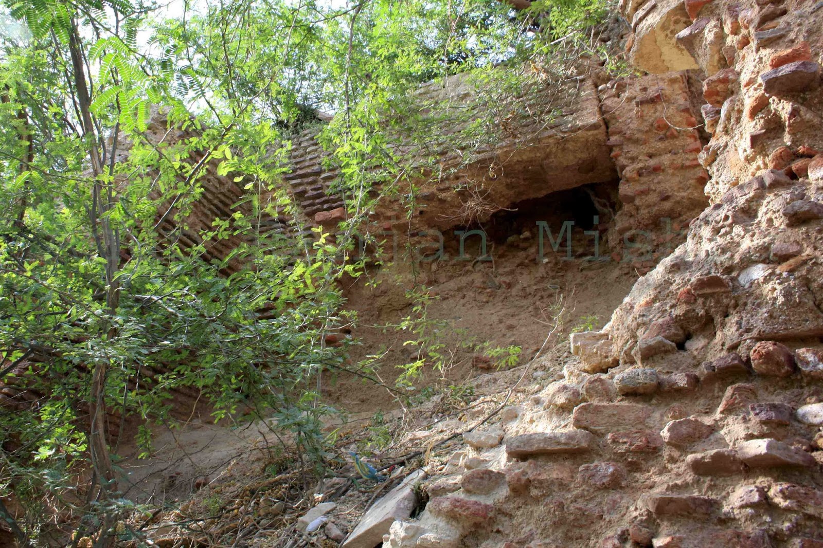 Save Ancient Indian Sites: 5. Mathura: Piecing together the Vestiges of ...