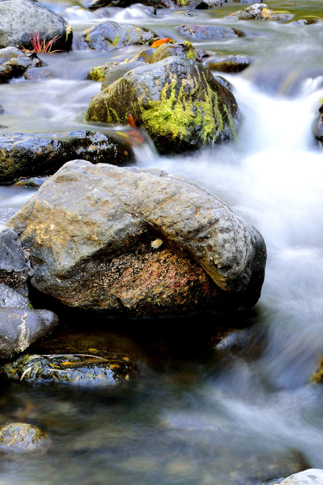 Button Rock at Rio Viejo