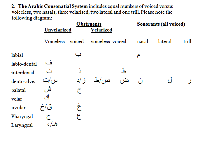 Consonatial System | Learn Arabic Amman