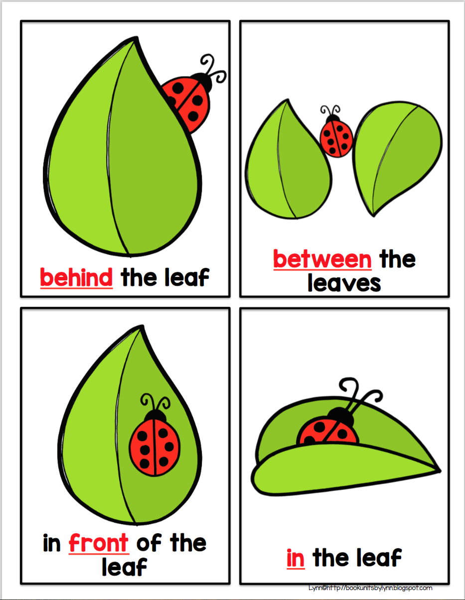 LADYBUG PREPOSITION SET ~ Book Units by Lynn