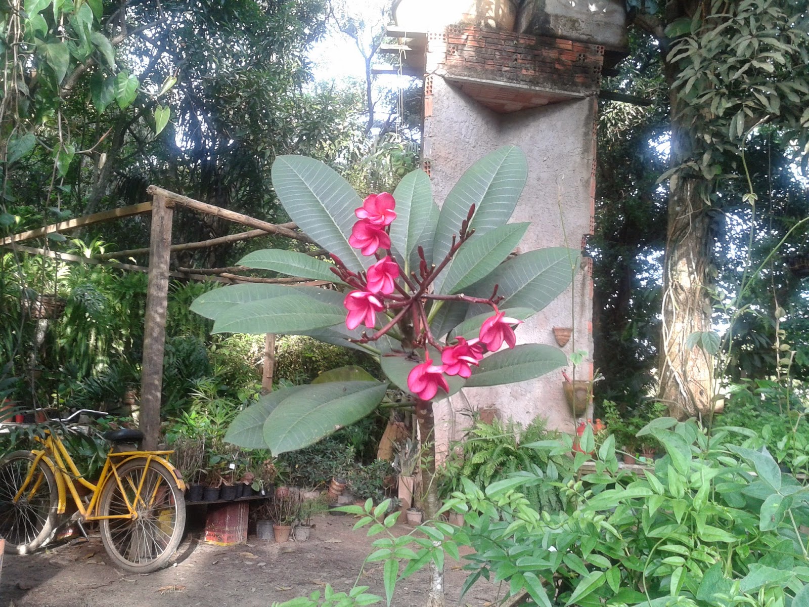 Biologando: Abril 2014