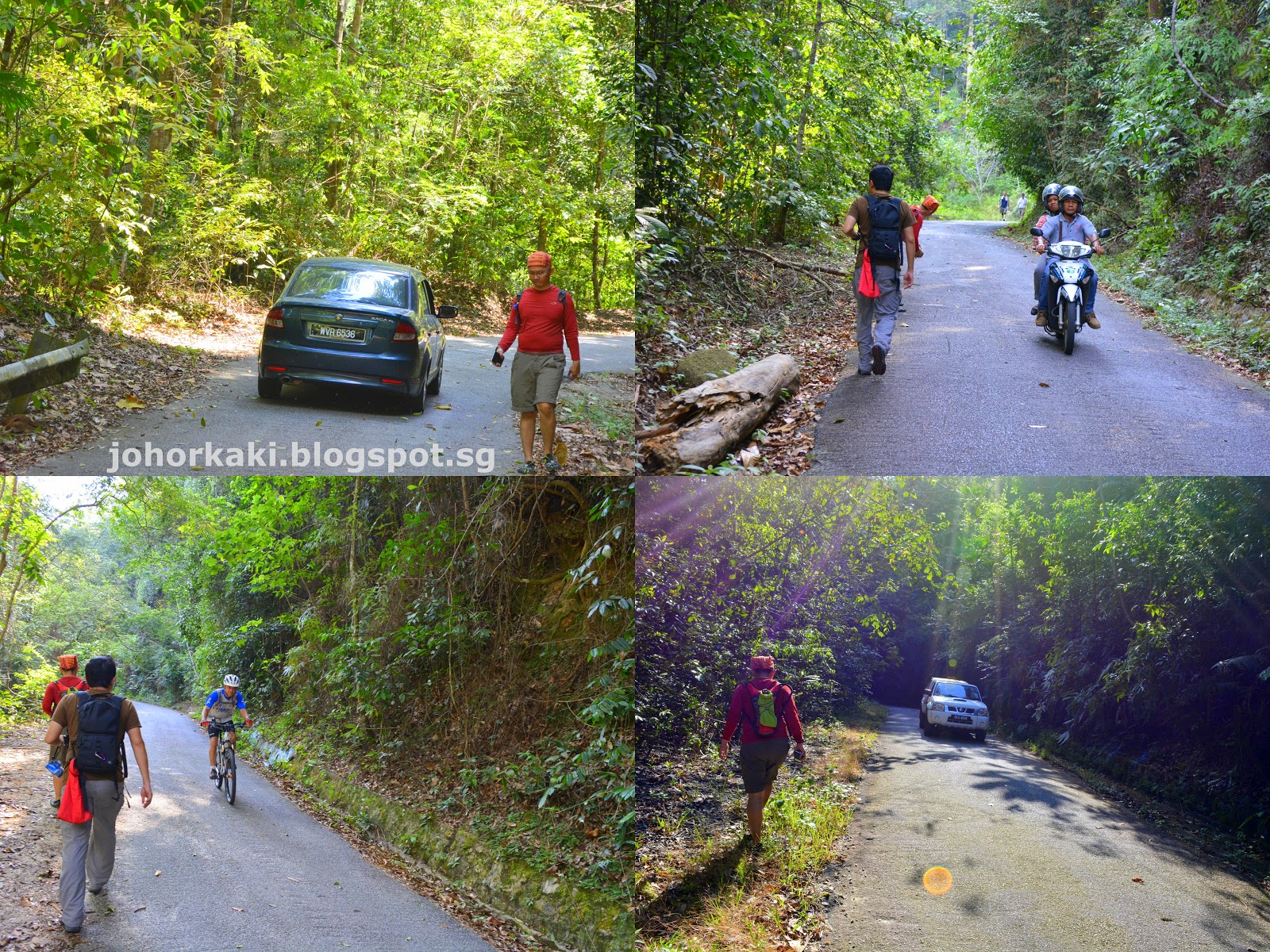 Trekking at Hutan Lipur Gunung Pulai Recreational Forest in Johor ...