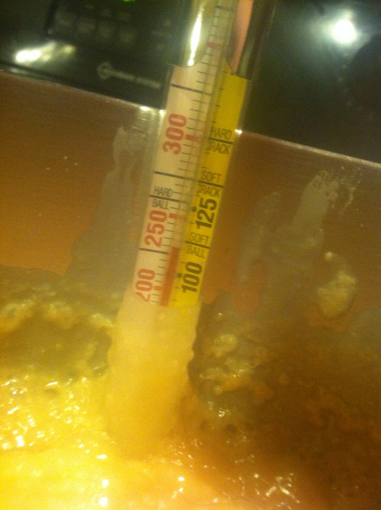 The Gogan Family: Homemade Carmel's