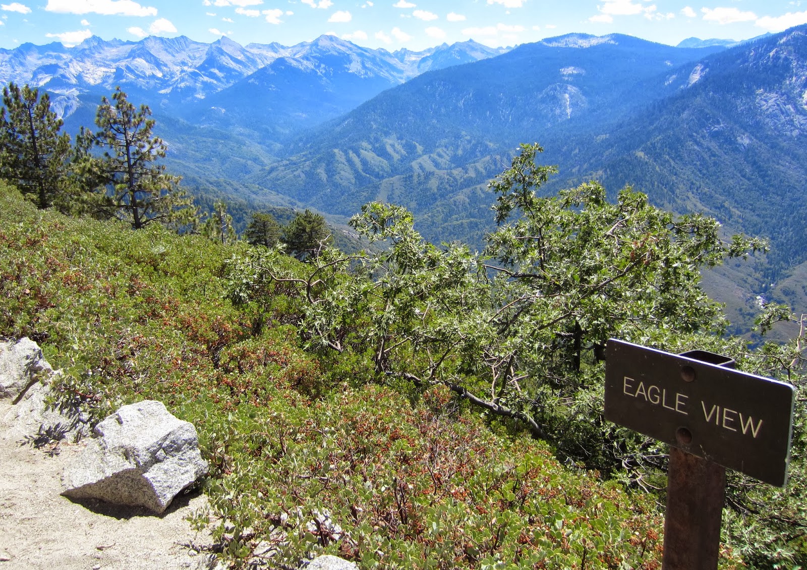 Viviendo la Montaña: SEQUOIA NATIONAL PARK: The Wolverton Cutoff Loop