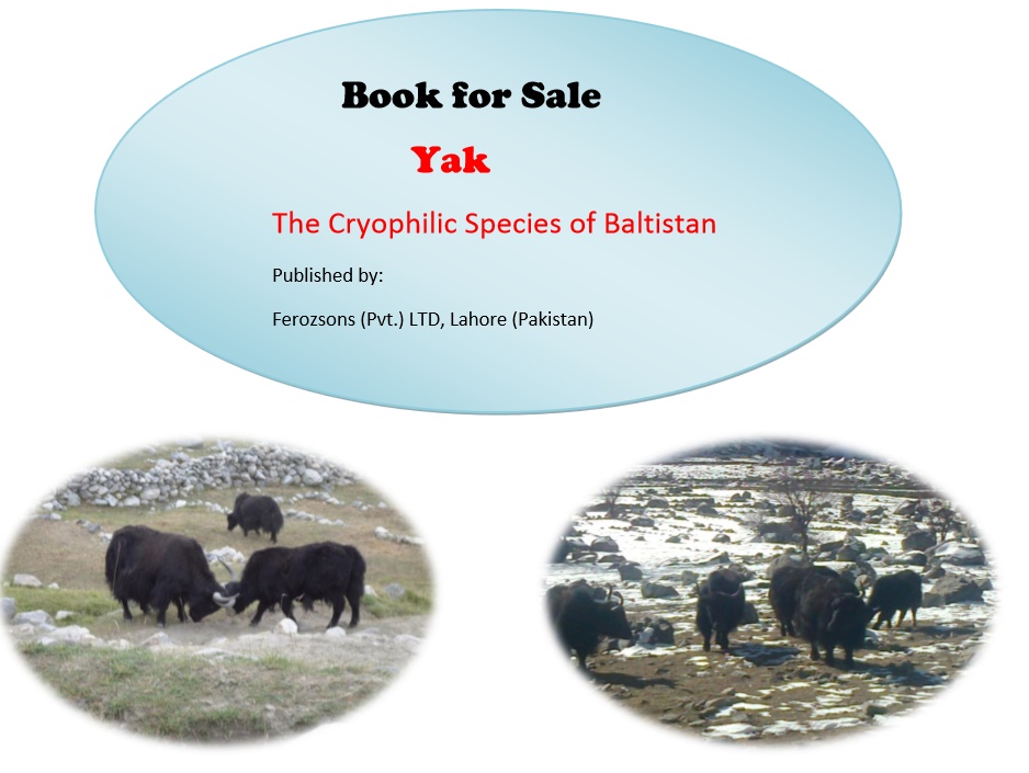 Yak: The Cryophilic Species Of Baltistan: About the Book YAK
