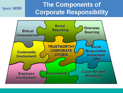 Responsible Choices ~ Nektarina Non Profit