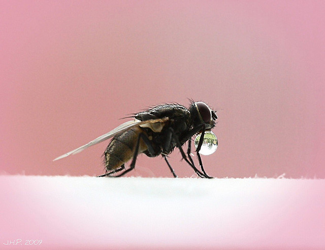 What do You Have to do to Get a Drink Around Here? | The Ark In Space