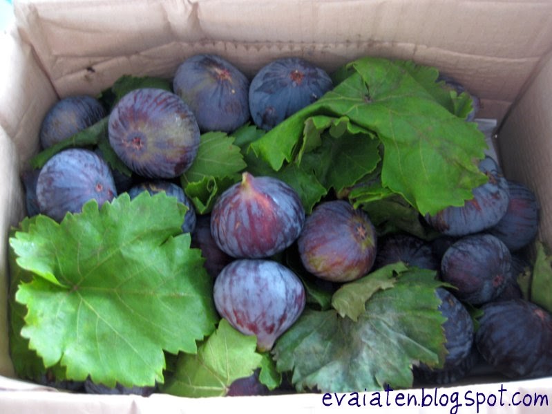 Greek Salad - a blog from Greece!: Fikon