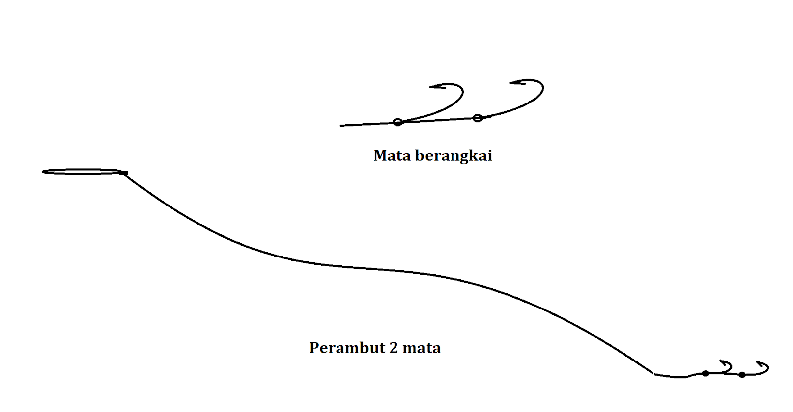 Jom Mancing Bersama Di Port Klang: Sekadar informasi, 3 jenis perambut ...