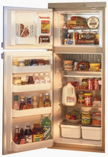 Dometic Refrigerator For Any Kind Of Kitchen: Dometic Propane Refrigerator