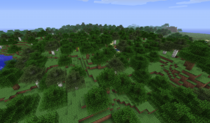 Minecrafteros: Información Minecraft