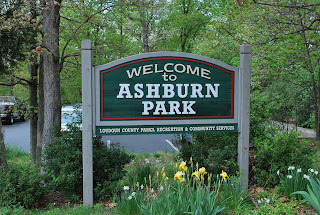The Next Best Thing.....: Ashburn Park aka "The Dinosaur Park"