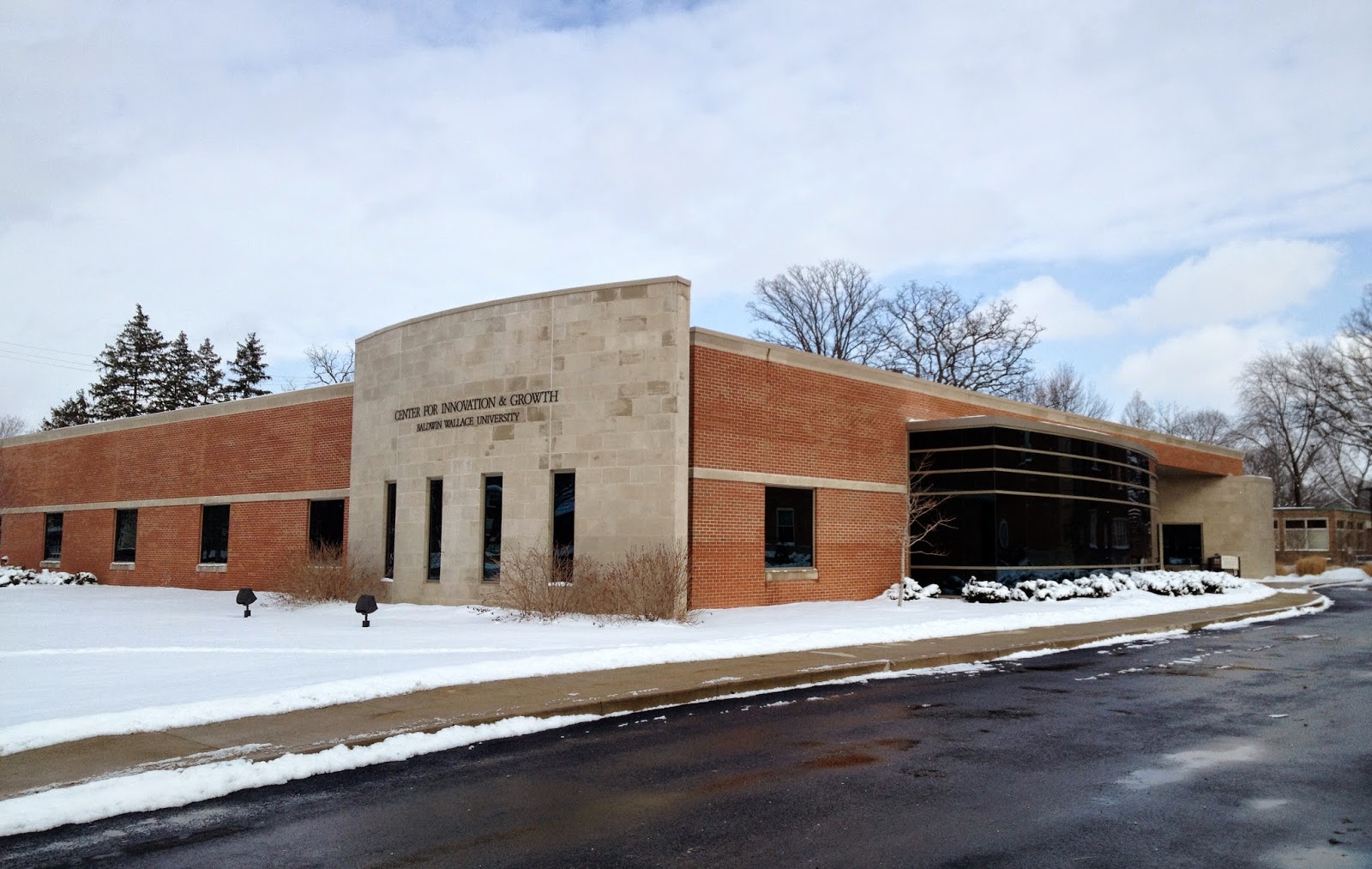 Baldwin Wallace University: BW CIG Names First Faculty Innovation Fellows