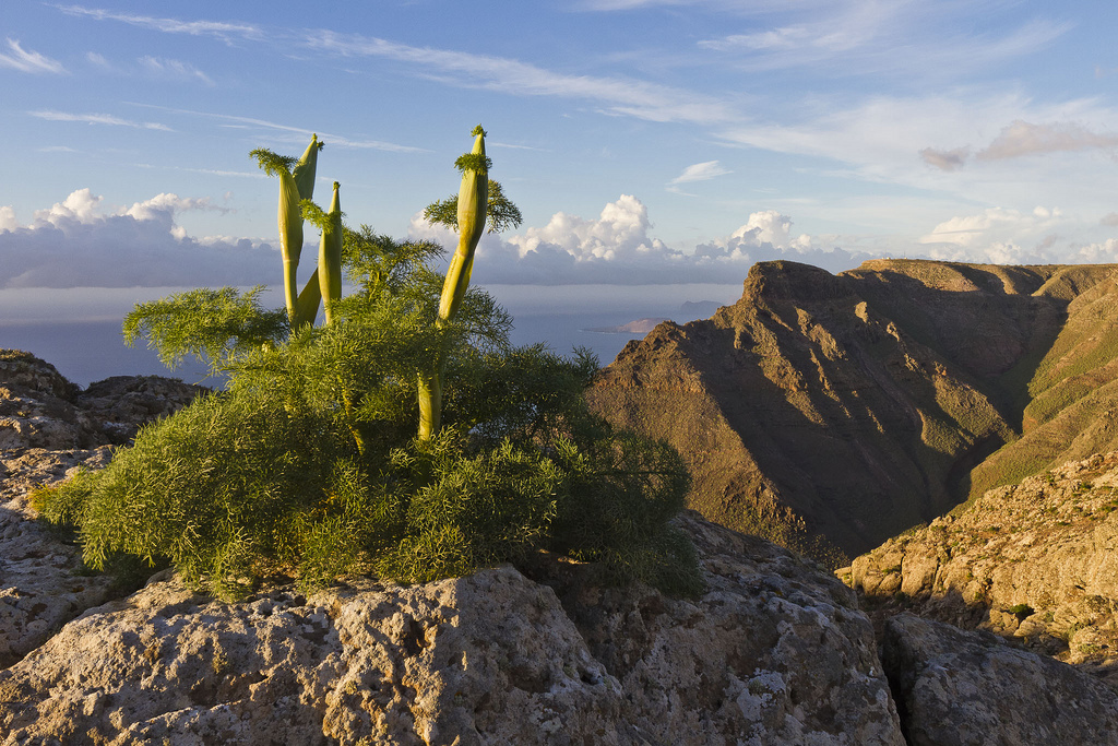 paradis express: Mirador del Rio