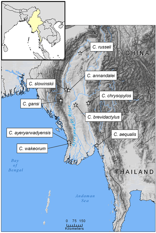 Species New to Science: [Herpetology • 2003] Cyrtodactylus ...