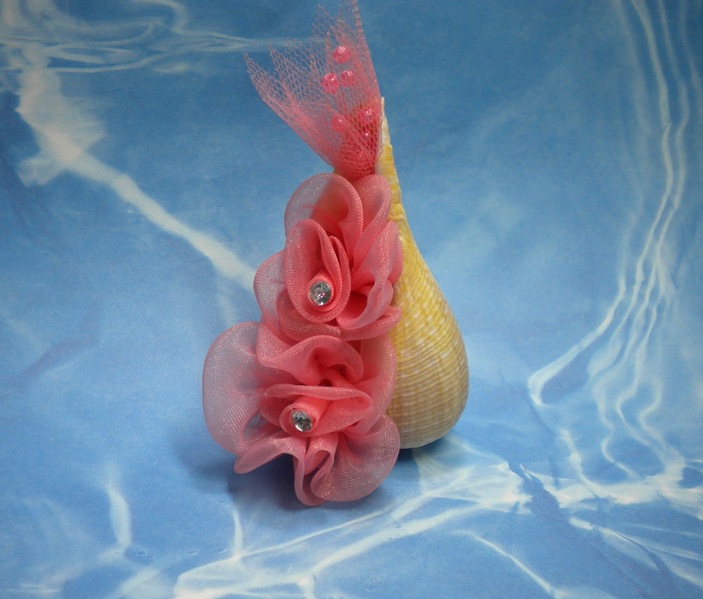 Del's Shells: Seashell Pins for Ladies