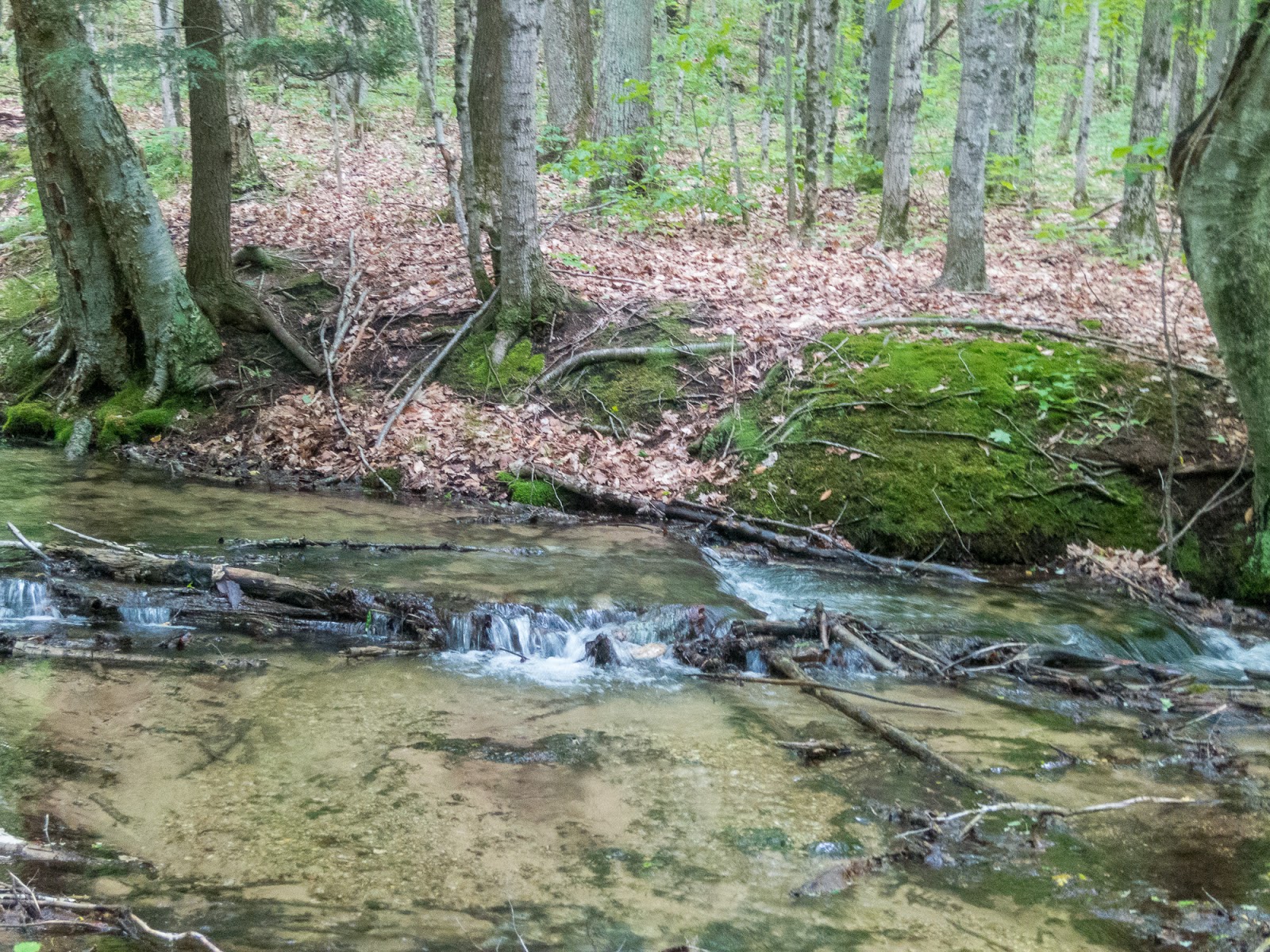 Eric's Hikes: Jordan River Pathway/NCT loop