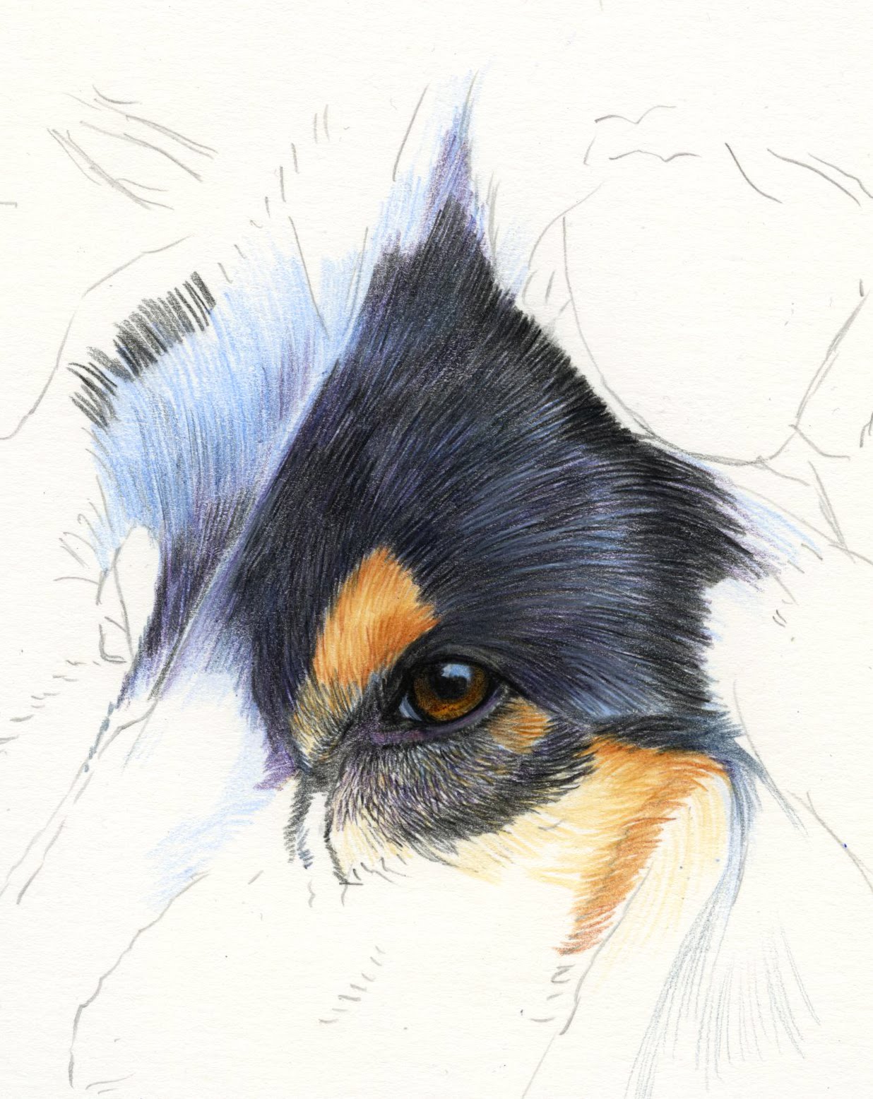 FUR IN THE PAINT Lenny The Rough Collie Step by Step FUR IN THE PAINT Lenny The Rough Collie Step by Step