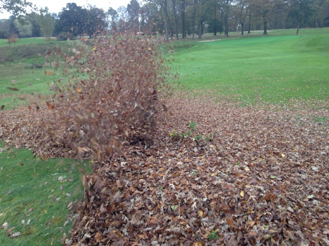 InPutting: A day in the life of ......... Matt Plested, Head ...