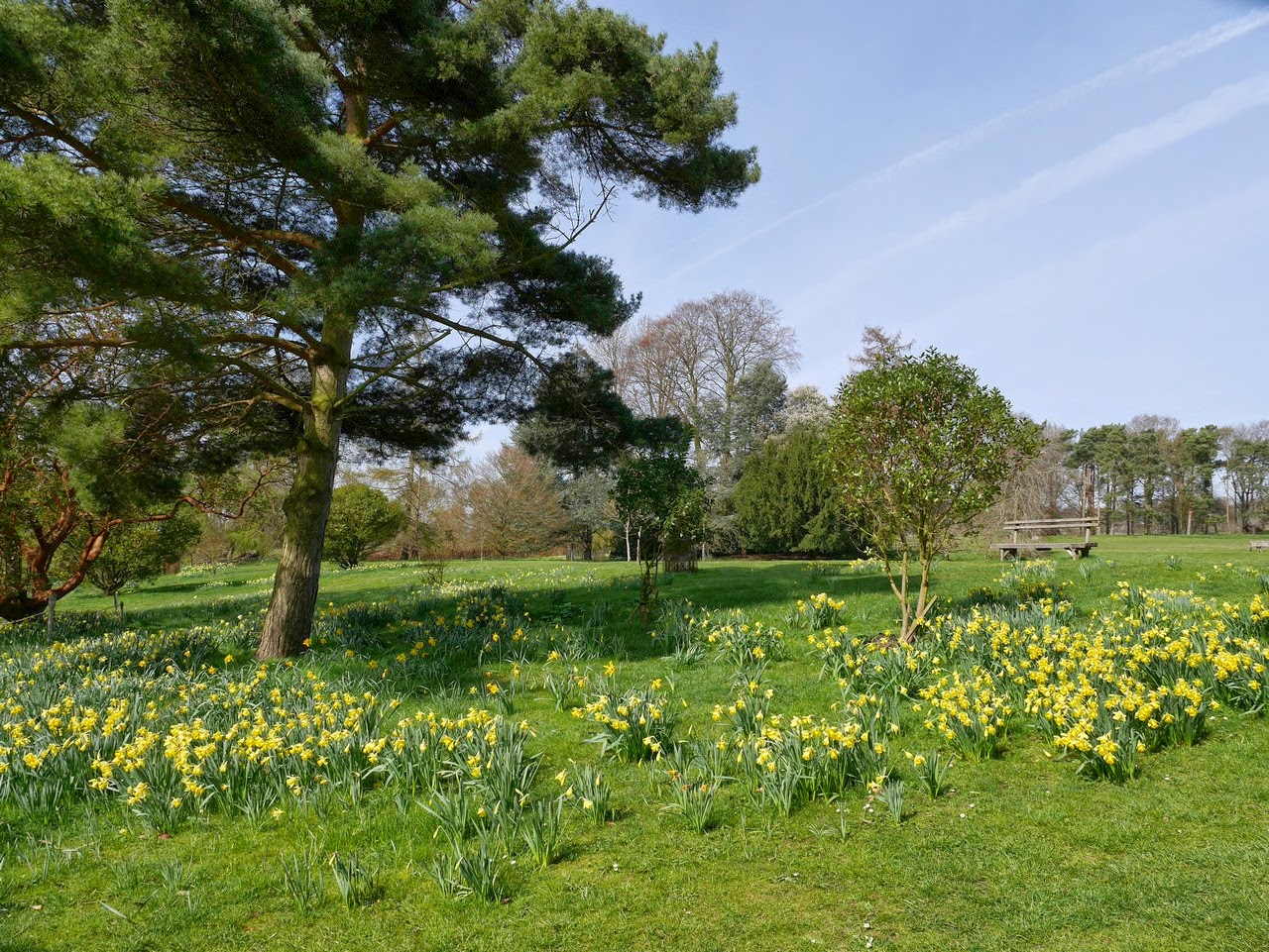 Tricia's Tales: A first visit to NT Greys Court being a trip down ...