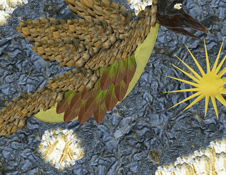 Dope Art By egavelin: Project 3: Surreal Compositions with Natural Objects