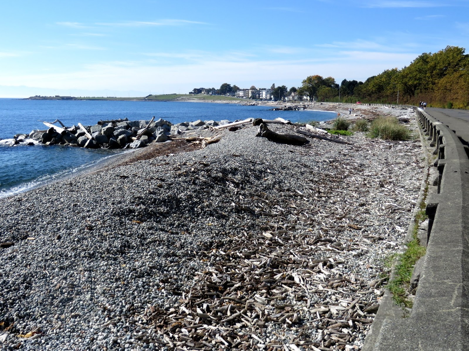 Gravel Beach: Ross Bay