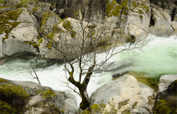 sensenorT: El fluir del río -dos-