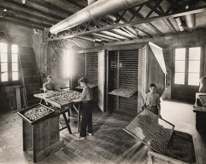 Historia de la Pasta nº2