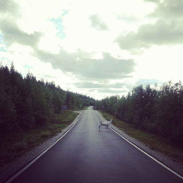 MicroCosmos: insta Finland