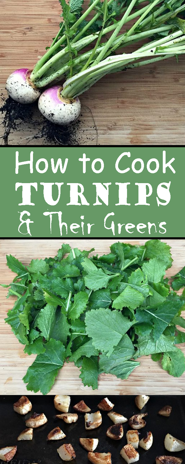How to Grow Turnips: Planting, Growing and Harvesting Turnips ...