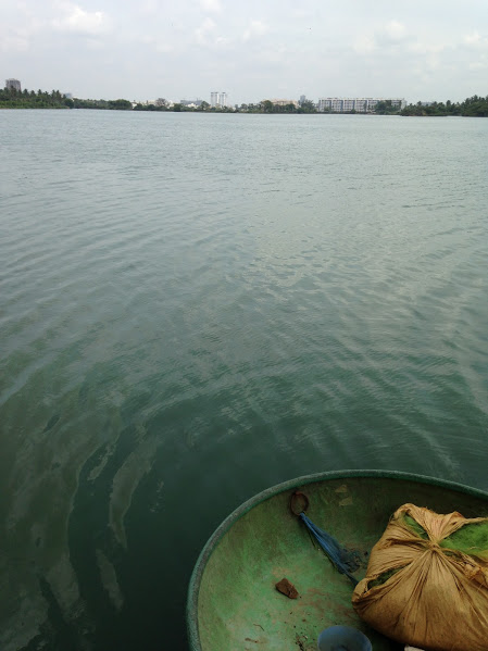 How does one take samples for water quality tests from lakes – Biome ...