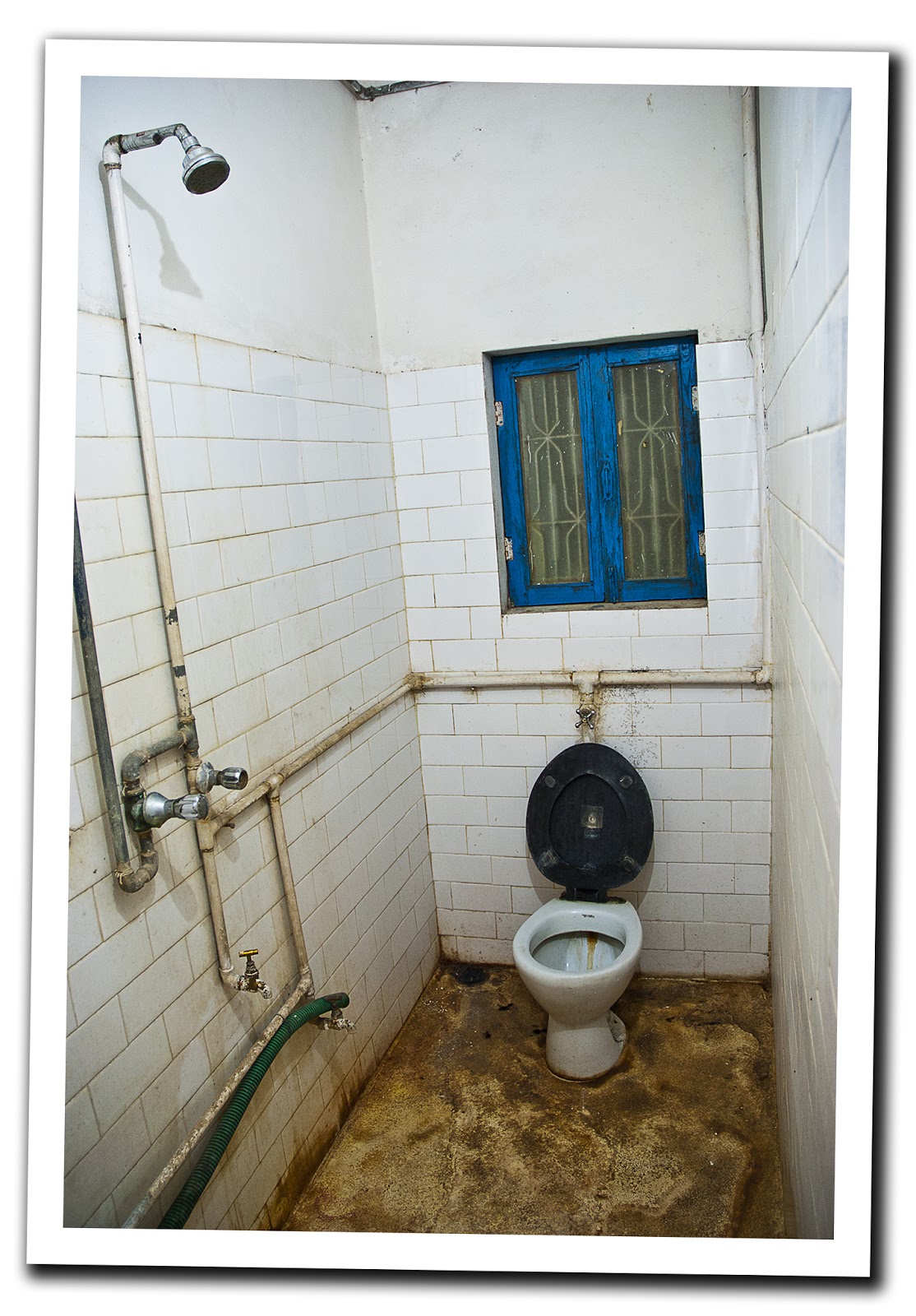 LOS WC EN INDIA | Indian Lassi, un viaje por India